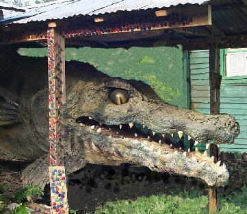 Buford the Bassigaor at the UCM Museum in Abita Springs, Louisiana